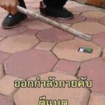 200+ รูปภาพตลกๆ กวนๆ ฮาๆ ขำๆ ฟรี เอาไว้ใช้ในเฟส ในโซเชียล