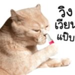 200+ รูปภาพตลกๆ กวนๆ ฮาๆ ขำๆ ฟรี เอาไว้ใช้ในเฟส ในโซเชียล