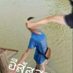 200+ รูปภาพตลกๆ กวนๆ ฮาๆ ขำๆ ฟรี เอาไว้ใช้ในเฟส ในโซเชียล