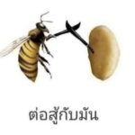 200+ รูปภาพตลกๆ กวนๆ ฮาๆ ขำๆ ฟรี เอาไว้ใช้ในเฟส ในโซเชียล