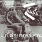 200+ รูปภาพตลกๆ กวนๆ ฮาๆ ขำๆ ฟรี เอาไว้ใช้ในเฟส ในโซเชียล