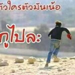 200+ รูปภาพตลกๆ กวนๆ ฮาๆ ขำๆ ฟรี เอาไว้ใช้ในเฟส ในโซเชียล