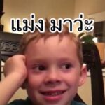 200+ รูปภาพตลกๆ กวนๆ ฮาๆ ขำๆ ฟรี เอาไว้ใช้ในเฟส ในโซเชียล