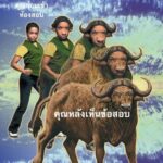 200+ รูปภาพตลกๆ กวนๆ ฮาๆ ขำๆ ฟรี เอาไว้ใช้ในเฟส ในโซเชียล